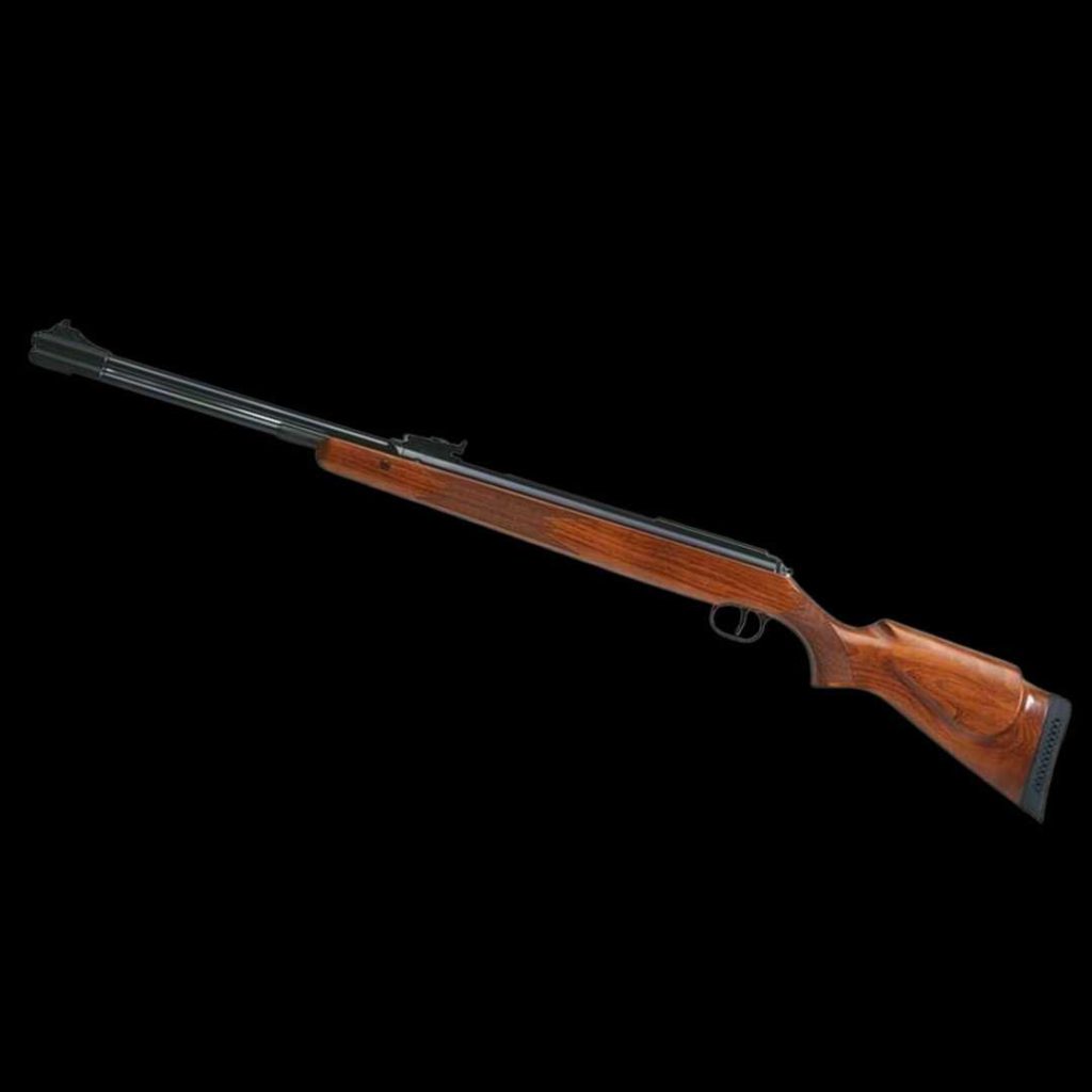 Air Rifles Archives | Ranjith Gun Care Centre