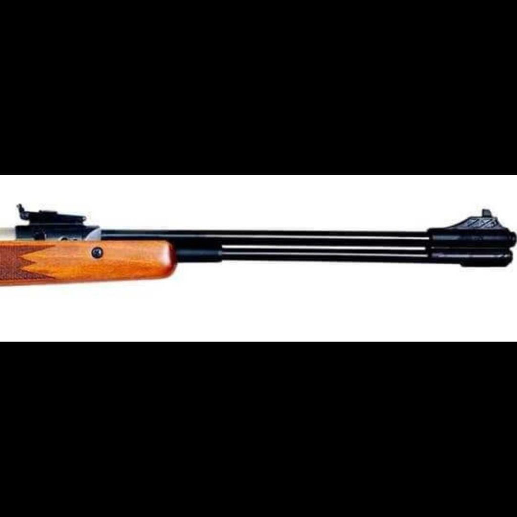 Diana 460 Magnum Air Rifle – Power, Precision, and German Engineering ...